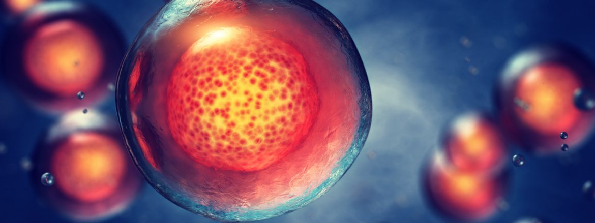 Amniotic Stem Cell Fluid | OrthoFlo | Pain Relief Institute